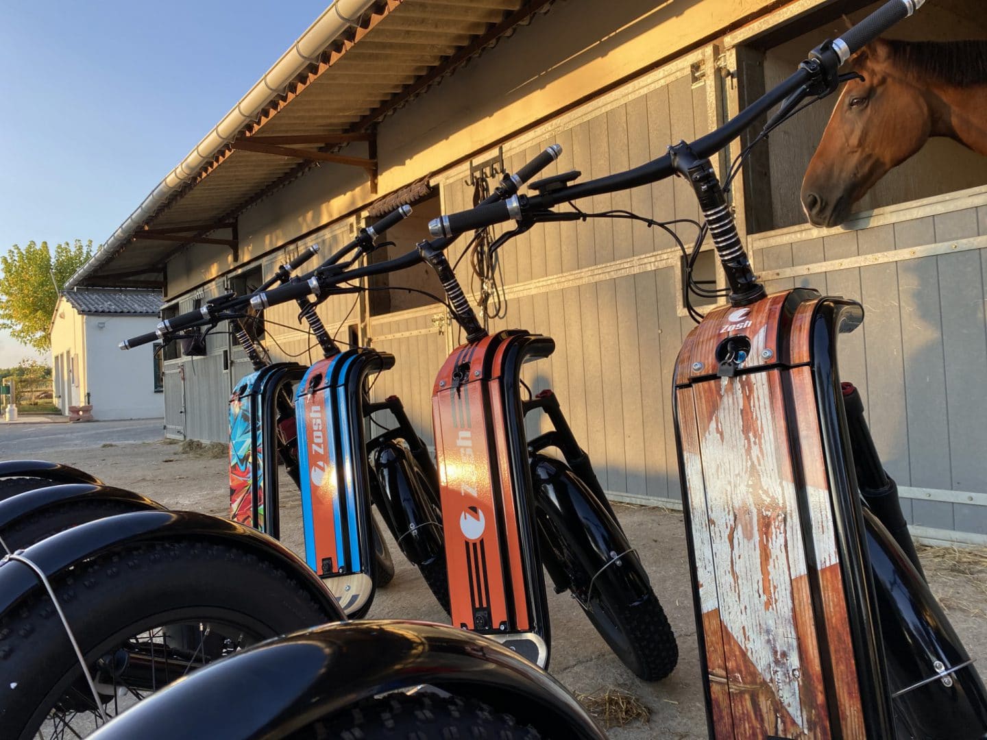 Zosh concept : the scooter for the off-road | Zosh