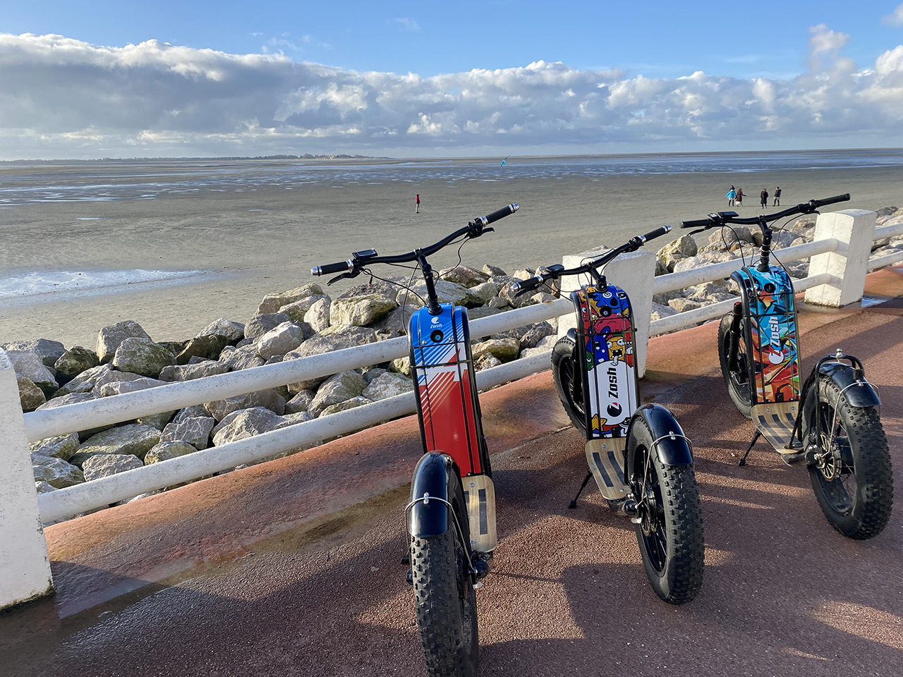 Mountain, snow, sand and urban electric scooter| Zosh